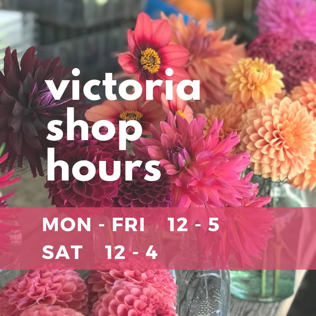 We're open SATURDAYS again! – Gardener's Kit