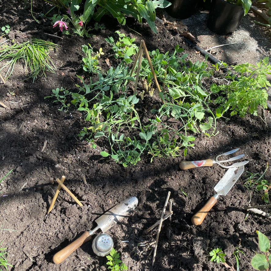 Hand Weeding – Gardener's Kit