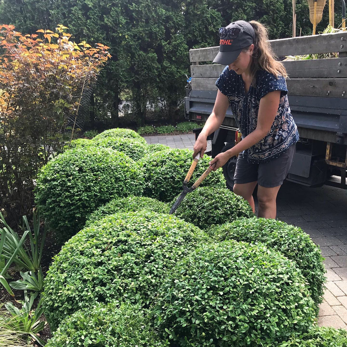 Hedges & Topiary – Gardener's Kit
